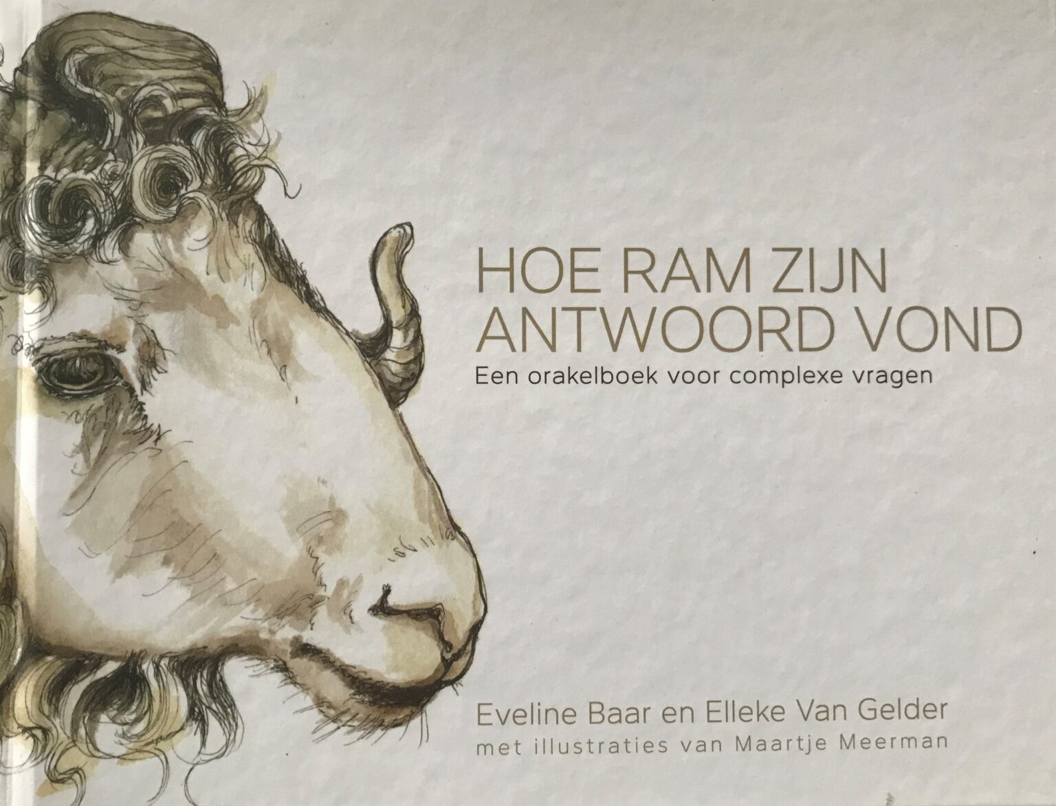 Hoe Ram zijn antwoord vond - Opiny - 1001 Managementboeken